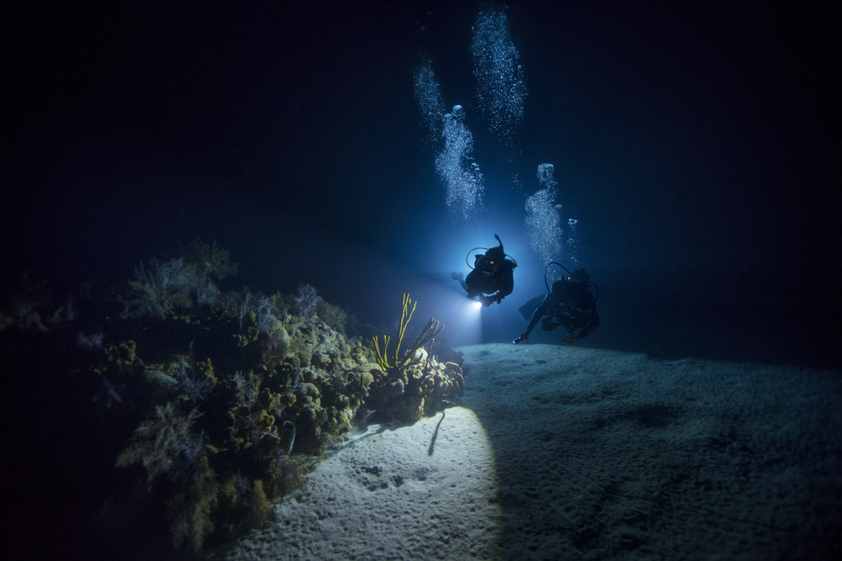 Night Diver – 7 Heroes Store